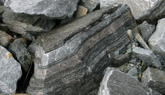 OLILAB Laboratories - Ichthyol – Ihtiol - Olilab